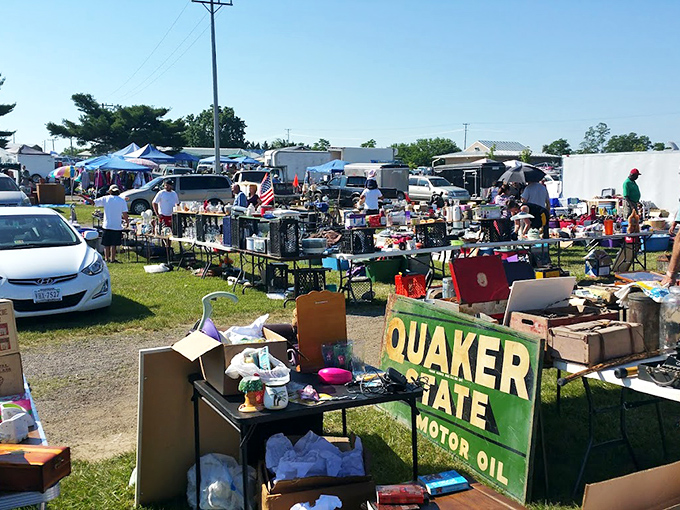 The treasure hunter's paradise unfolds under blue and white tents, where one person's castoffs become another's prized possessions. Weekend warriors navigate the grassy pathways between vendors. 