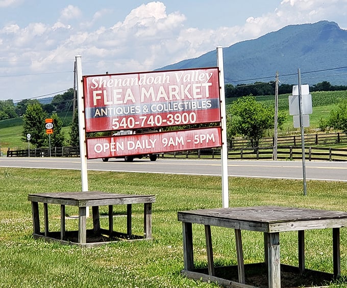 The unmistakable roadside welcome to treasure-hunting paradise. That couch might just be someone's next great conversation piece!