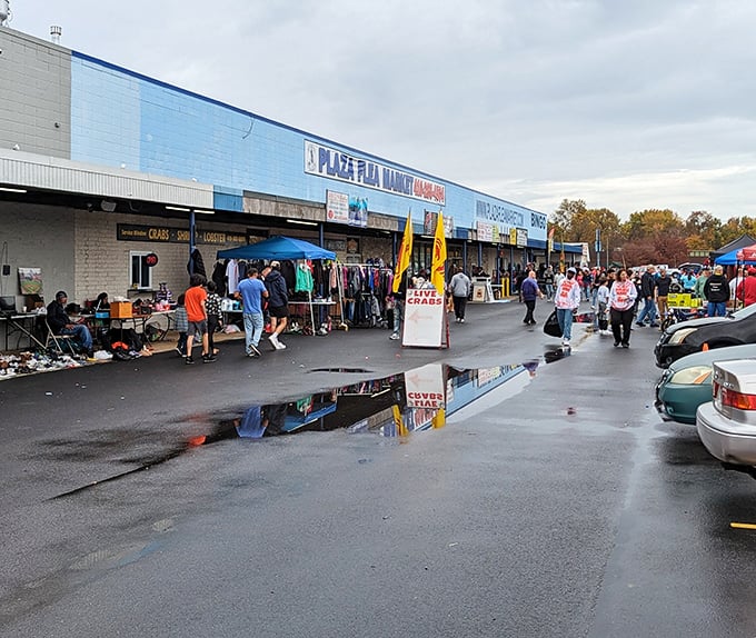 The blue-fronted wonderland beckons shoppers with its siren call of treasures waiting to be discovered on a typical Baltimore weekend.
