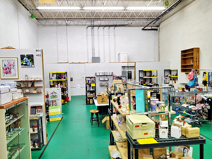 Every treasure hunter's dream starts with that first magical step into organized chaos and endless possibilities.