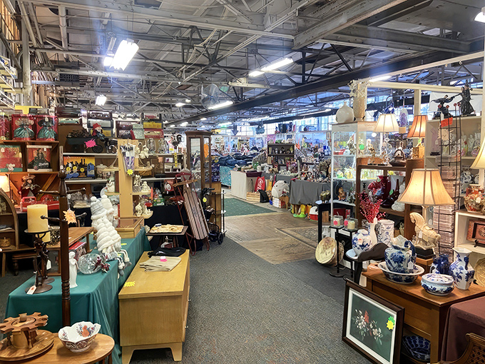 Treasure islands as far as the eye can see! Aisles of carefully curated collectibles create a maze of possibilities for the curious explorer.