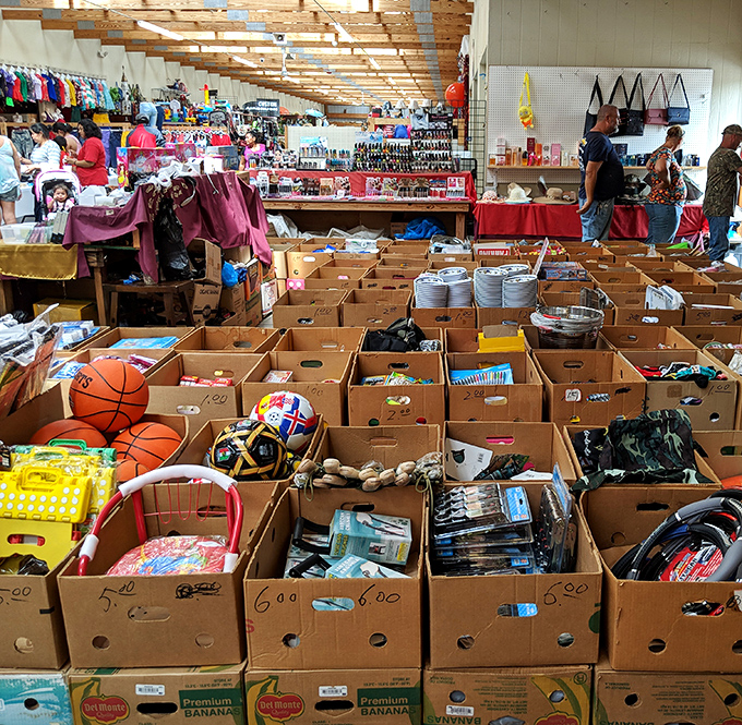 Treasure hunters paradise! Cardboard boxes overflow with affordable finds while shoppers navigate the labyrinth of vendor stalls in search of their next great discovery.