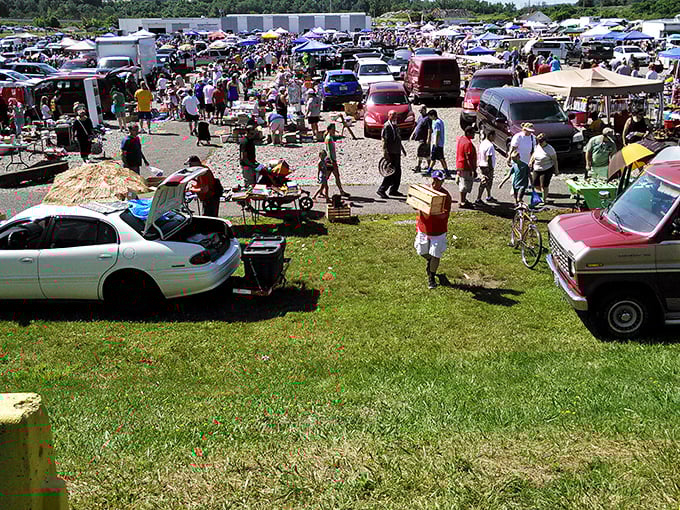The aerial view of treasure-hunting humanity in its natural habitat. Sundays at Trader Jack's look like a scene from "Where's Waldo?: Bargain Hunter Edition."
