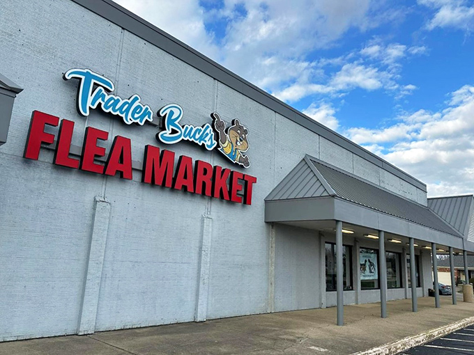 The blue-roofed bargain kingdom beckons with its neon promise of treasures waiting to be discovered inside.