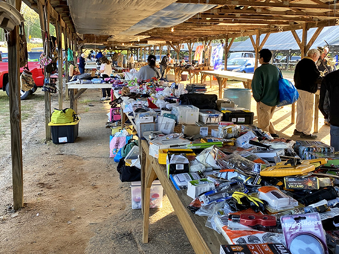 The treasure hunt begins! Rows of tables stretch toward the horizon as early birds scout for deals under the Carolina sky.