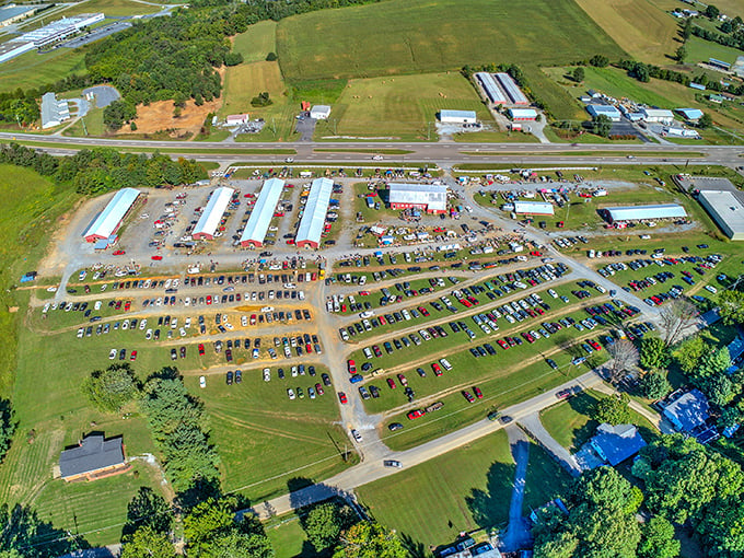 A treasure hunter's paradise from above—the Jonesborough Flea Market sprawls across acres of Tennessee countryside, promising adventures in every aisle beneath those perfect blue skies.