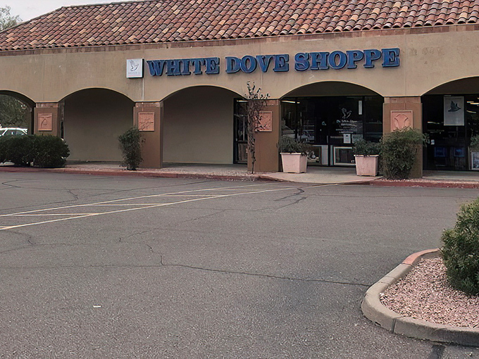 That classic Southwestern charm meets serious thrift shopping &ndash; your treasure hunt starts here. 