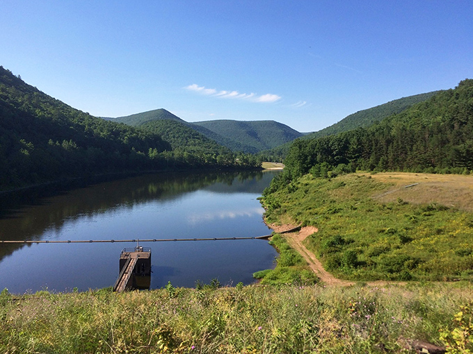 Tall sentinels of pine create nature's cathedral along this winding park road. The perfect spot for contemplation&mdash;or plotting your next picnic attack.