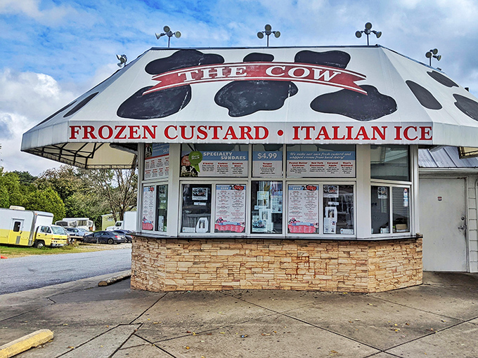 The bovine mothership has landed! This spotted-roof wonder in Reisterstown promises frozen nirvana with a side of nostalgic charm.