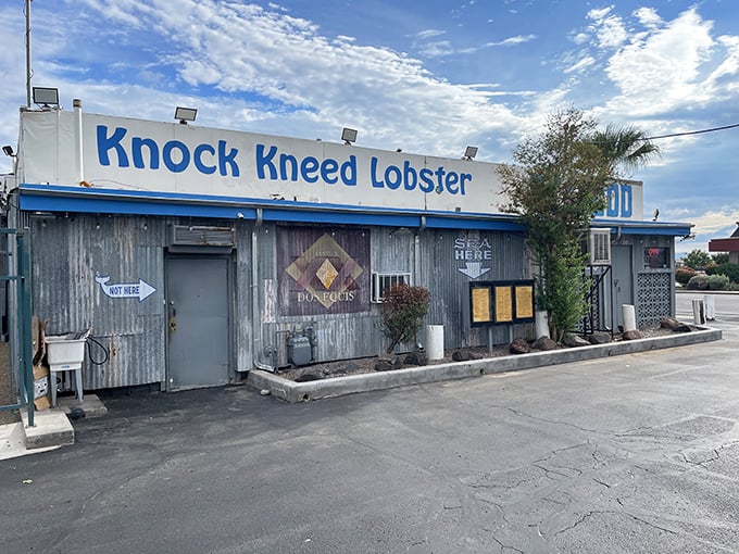 The unassuming corrugated exterior of Knock Kneed Lobster stands as a testament that desert treasures often come in humble packages.