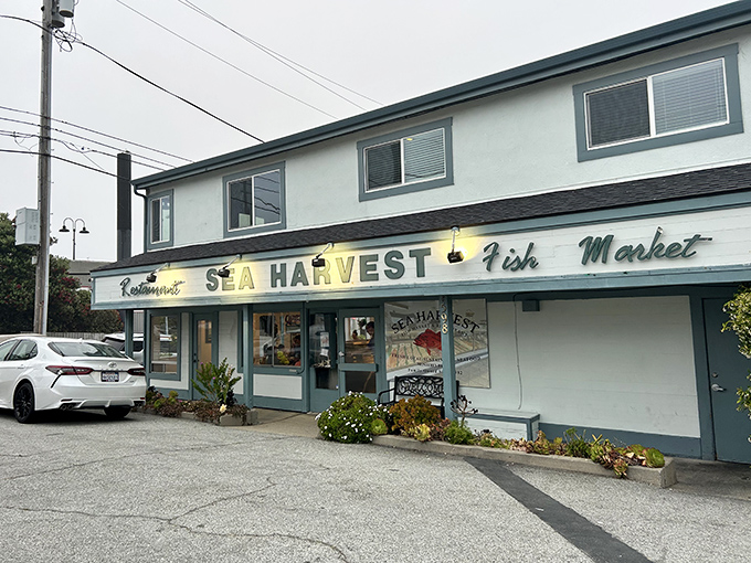 The unassuming exterior of Sea Harvest belies the seafood treasures within. Like finding a pearl in an oyster&mdash;unexpected and wonderful.