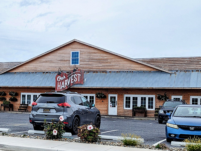 The unassuming wooden exterior of Our Harvest belies the culinary treasures within&mdash;like finding a Michelin star chef cooking in your neighbor's garage.