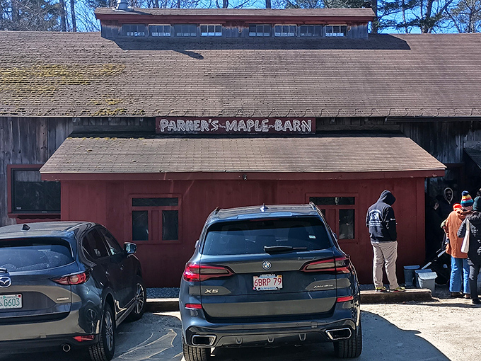 The iconic red facade of Parker's Maple Barn stands as a beacon of breakfast hope among New Hampshire's majestic pines. 