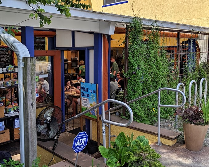 The iconic blue sign says it all – people aren't just waiting for breakfast, they're queuing for a culinary pilgrimage at Sunny Point Café.