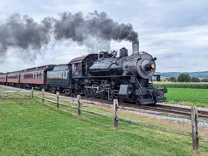 Steam and dreams collide as Engine No. 89 powers through Amish farmland, leaving a trail of nostalgia and coal smoke in its magnificent wake.