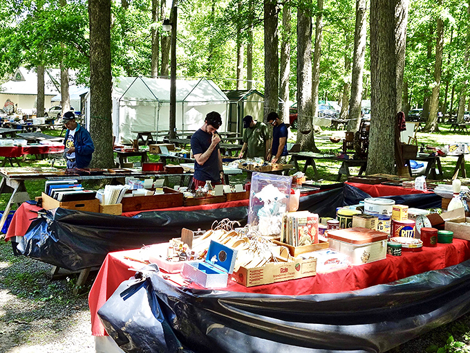 White tents nestled among towering trees create nature's perfect shopping mall. Treasure hunting feels more like an expedition when gravel crunches underfoot.