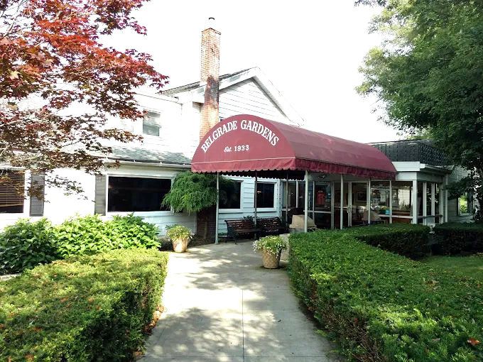 The iconic red awning of Belgrade Gardens welcomes hungry pilgrims like a beacon of fried chicken salvation. Barberton's culinary landmark since 1933.