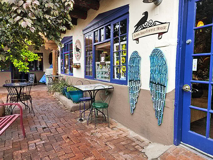 Gateway to caffeine paradise! The iconic entrance to Blackbird Coffee House, where strings of red chile peppers frame the blue door like New Mexico's most delicious welcome mat.