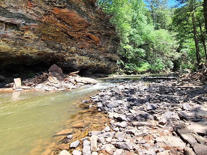 Nature's perfect postcard moment: a rustic wooden bridge spans the crystal-clear waters of Great Trough Creek, inviting adventurers to cross into Pennsylvania's best-kept secret.