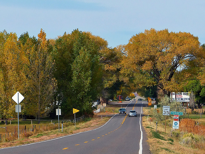 Nature's cathedral of cottonwoods creates the most magnificent main street canopy you'll ever drive under. Small-town magic at its finest.