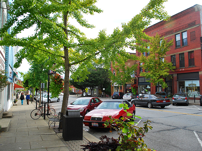Autumn transforms Oberlin College's campus into a painter's palette of reds and golds. From above, you can see why this academic village captivates visitors in every season. 