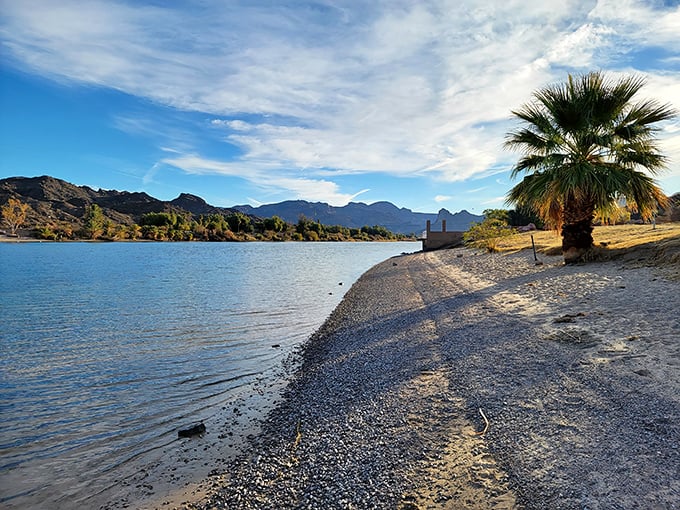 Palm trees and mountain reflections create a postcard-perfect scene that makes Arizona's desert reputation seem wildly inaccurate.