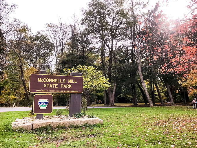 The historic gristmill stands like a sentinel over Slippery Rock Creek, its weathered timbers telling stories of Pennsylvania's industrial past.