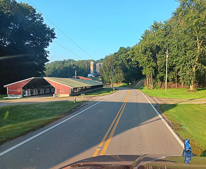 The perfect summer morning along Wally Road&mdash;where working farms and winding country roads meet under Ohio's impossibly blue skies.