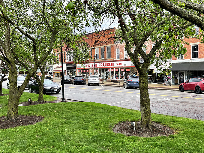 Autumn transforms Oberlin College's campus into a painter's palette of reds and golds. From above, you can see why this academic village captivates visitors in every season. 