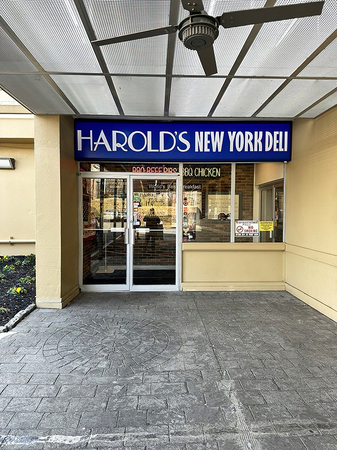 The unassuming entrance to Harold's New York Deli belies the colossal culinary feats waiting inside. Like finding a treasure chest disguised as a mailbox.