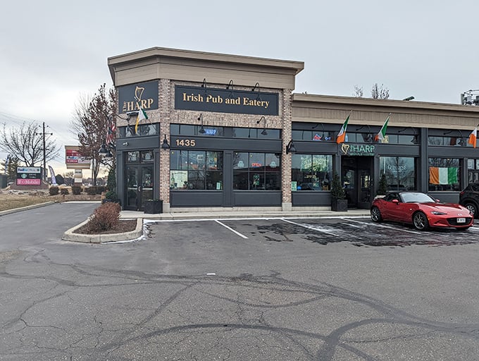 Welcome to The Harp, where Irish charm meets Idaho hospitality. This unassuming exterior hides a treasure trove of culinary delights waiting to be discovered.