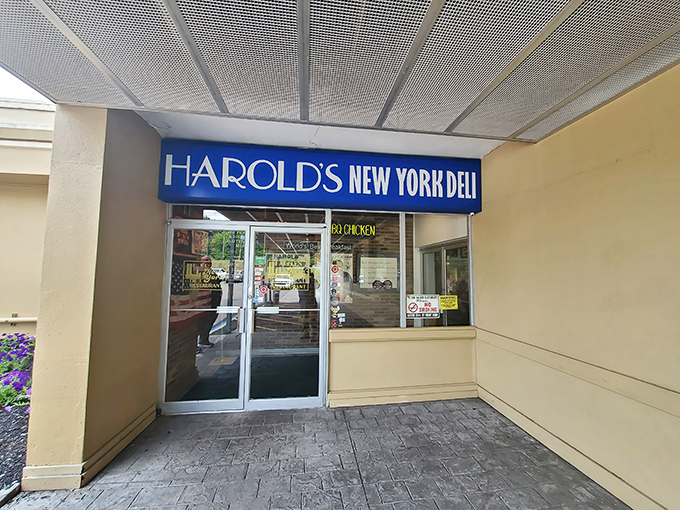 The unassuming entrance to Harold's New York Deli belies the colossal culinary feats waiting inside. Like finding a treasure chest disguised as a mailbox.