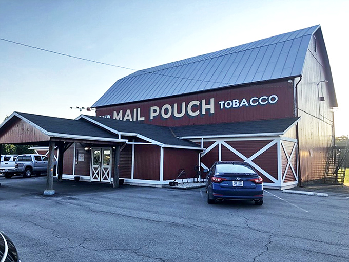 The iconic Mail Pouch Tobacco barn houses culinary treasures instead of tobacco these days, with a serene pond reflecting both sky and appetite-inducing possibilities.