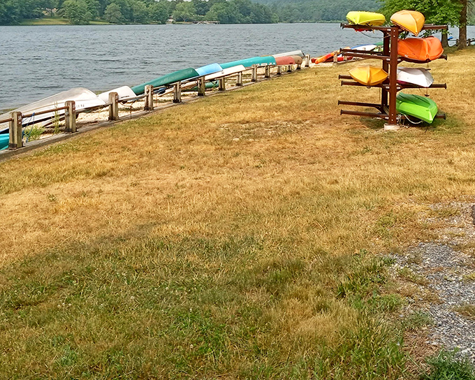 Colorful kayaks stand at attention like eager summer campers, ready for adventure on Holman Lake's inviting waters.