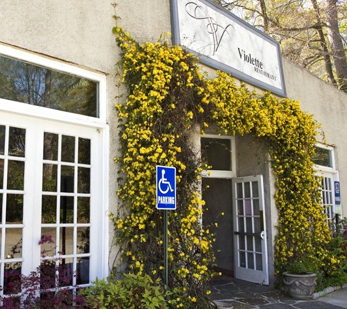 The unassuming exterior of Petite Violette belies the culinary treasures within, like finding a Michelin star hiding behind a garden trellis.