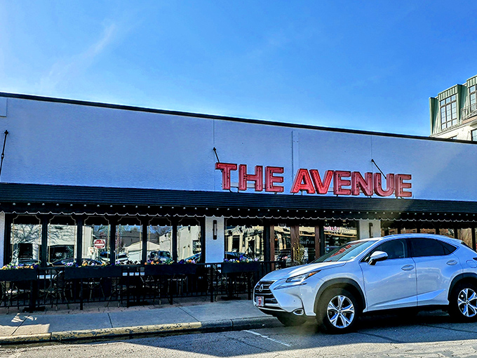 The Avenue's bold red signage against crisp white fa&ccedil;ade stands as a beacon for steak lovers. Columbus's answer to carnivorous prayers.
