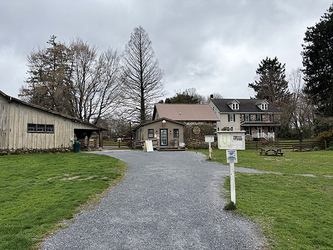 The perfect rural ice cream sanctuary. Woodside Farm Creamery's charming stone-and-wood building promises dairy delights that city slickers can only dream about.