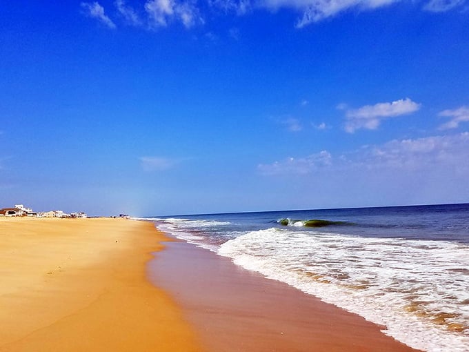 Golden sands meet azure waters at Fenwick Island State Park, where Mother Nature shows off her best work without charging extra for the view.
