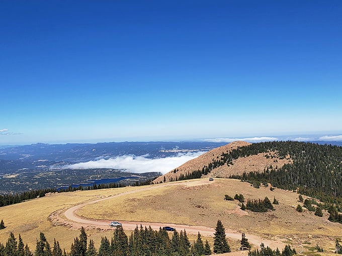 A winding mountain road leads to a breathtaking view of rolling hills, dense forests, and a sea of clouds under a clear blue sky.