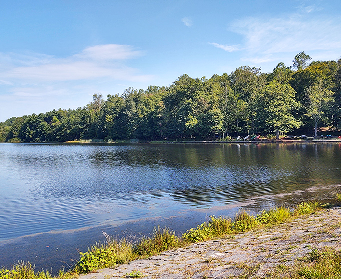 Mother Nature's mirror game is unbeatable at Hopewell Lake, where autumn trees preen at their own reflection like celebrities checking their makeup.