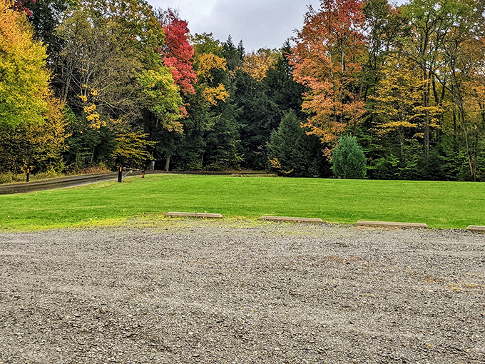 Fall's fashion show in full swing at Chapman State Park, where Mother Nature clearly didn't get the memo about subtle color coordination.