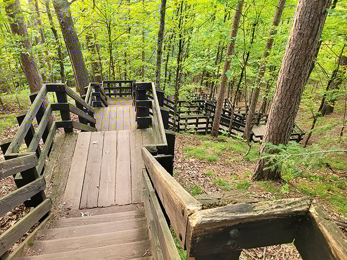 These wooden staircases aren't just functional&mdash;they're time machines taking you deeper into Wisconsin's emerald cathedral of pines and birch.