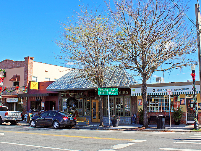 The historic Pasco County Courthouse stands like a proud Southern belle in Dade City's center, complete with columns that practically demand you straighten your posture when walking by.
