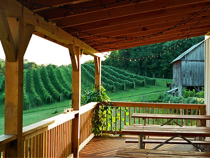 The white farmhouse winery stands proudly against the blue Ohio sky, its wraparound deck practically begging you to sit a spell with something chilled and delicious.