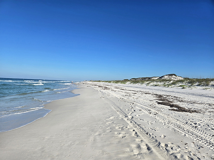 Nature's own masterpiece: where cotton candy skies meet emerald waters along a wooden boardwalk that practically begs you to kick off your shoes.