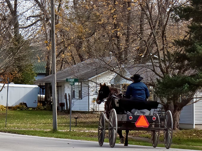 Where horse-drawn buggies share the road with pickup trucks, Seymour offers a glimpse into a simpler way of life that somehow feels both foreign and familiar.