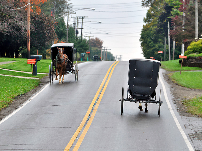 Where modern meets tradition: Amish buggies sharing the road with cars in Sugarcreek, a daily reminder that some of life's best journeys happen at horse-speed.