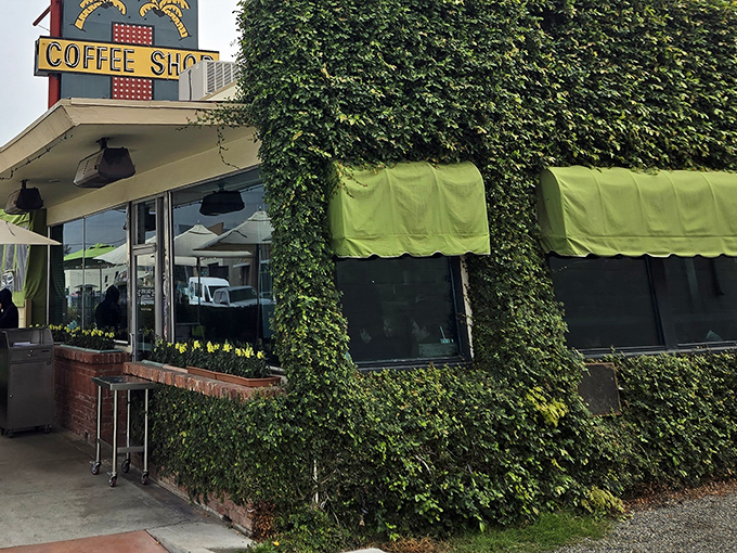 The ivy-covered exterior of 24th Street Cafe stands like a verdant oasis in Bakersfield, its vintage "Coffee Shop" sign promising comfort food treasures within.