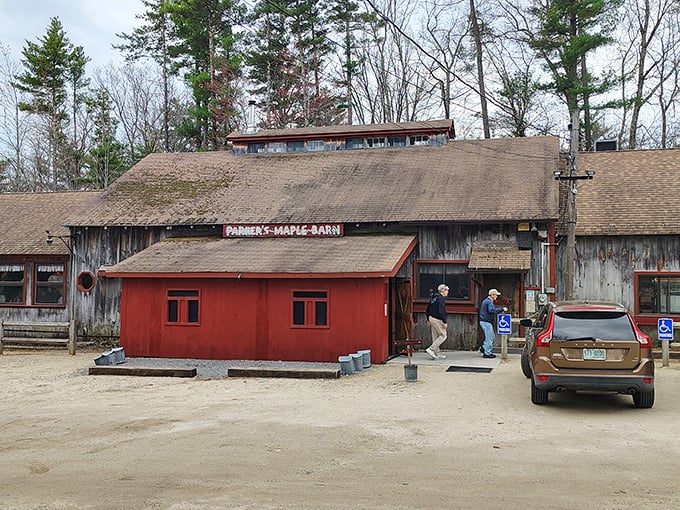 The iconic red facade of Parker's Maple Barn stands as a beacon of breakfast hope among New Hampshire's majestic pines. 