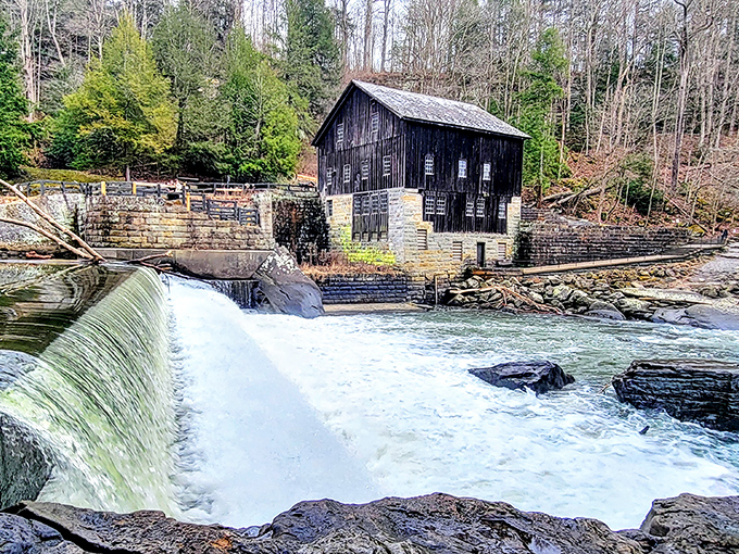 The historic gristmill stands like a sentinel over Slippery Rock Creek, its weathered timbers telling stories of Pennsylvania's industrial past.